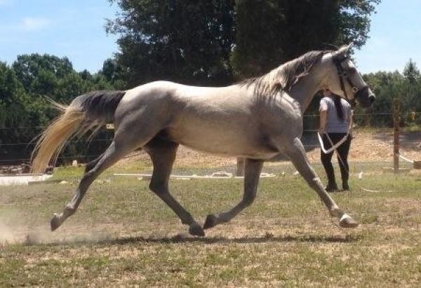 Välkommen! - isbitarna.se